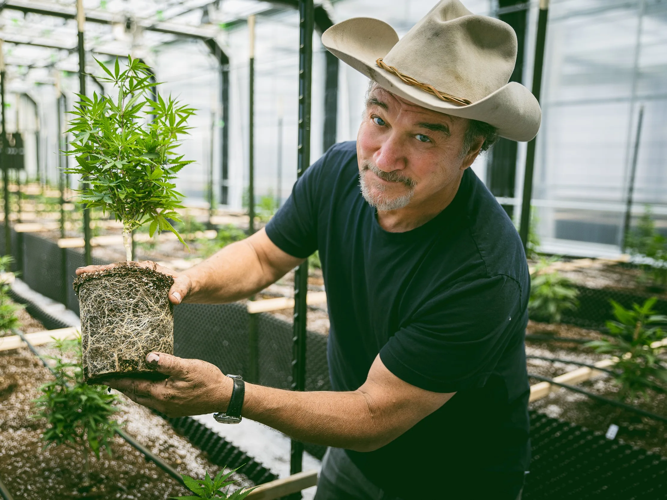 Jim Belushi: “Con la Belushi Farm mio fratello sarebbe vivo” - Trash ...